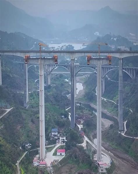 სტუ ჩინეთი Facebook