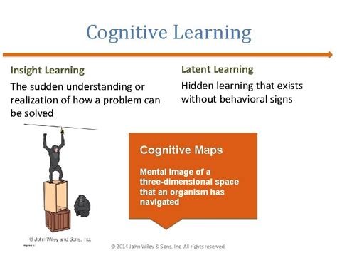 Chapter Six Learning Classical Conditioning Operant Conditioning Cognitivesocial