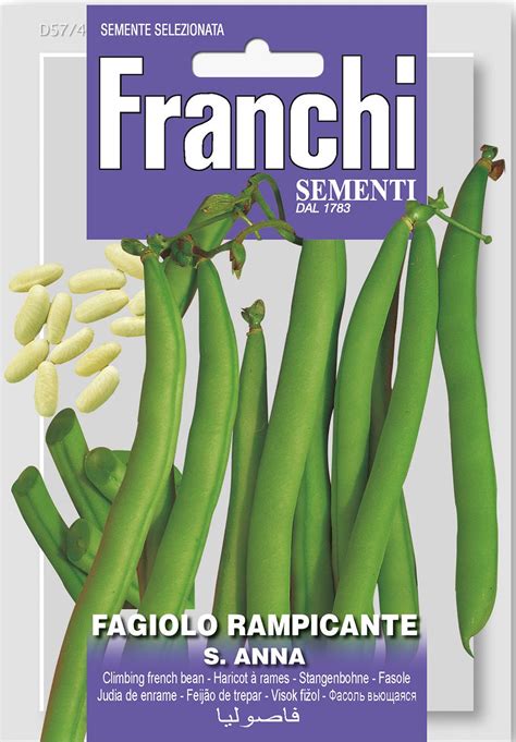 Купить семена Фасоль С. Анна вьющаяся 35г. Franchi sementi в Минске и ...