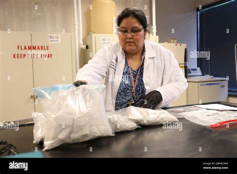 Laboratories And Scientific Services Lss Part Of Us Customs And