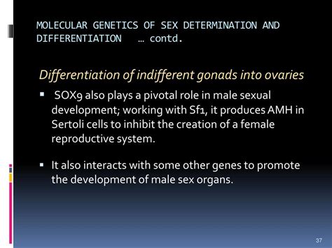 Ppt Anp502 Reproductive Physiology Of Farm Animals Powerpoint
