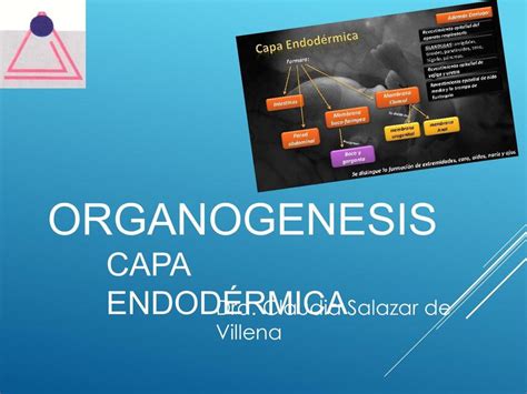 2 Endodermo Pptx Michael Cori Udocz