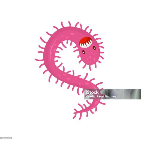 재미 있는 얼굴을 가진 귀여운 핑크 미생물 인간 답게 된 박테리아 만화 흰색 배경에 문자 벡터 일러스트 레이 션 건강관리와 의술에 대한 스톡 벡터 아트 및 기타 이미지