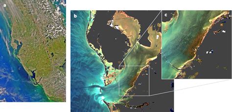 Integrating Biology Into Ocean Observing Infrastructure Society Depends On It Oceanography