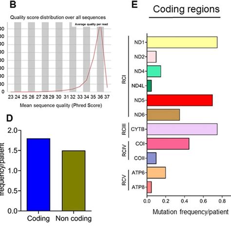 Mutation Analysis Of Mitochondrial Dna A Depth Of Mtdna Sequencing Download Scientific