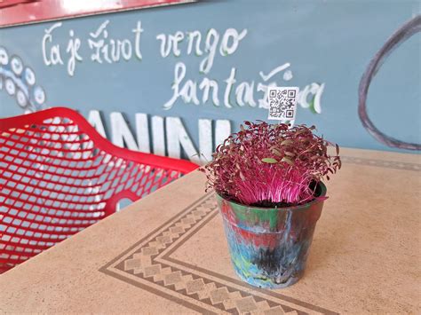 Šentjernejski Sejem Updated Their Šentjernejski Sejem