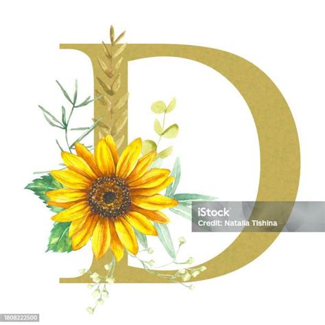 꽃 알파벳 문자 D 알파벳 문자는 차분한 금색이며 해바라기 유칼립투스 및 다양한 허브의 수채화 꽃으로 장식되어 있습니다 9월에