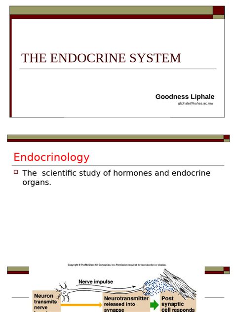 Endocrine 2023 | PDF | Endocrine System | Hormone