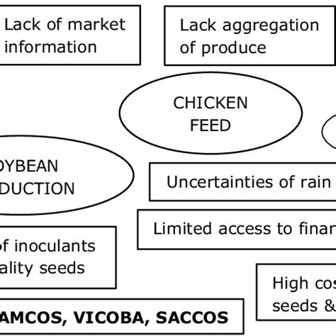 Fcm Framework In The Case Of Soybean Value Chain Mapping And