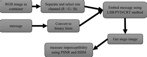 Embedding And Measurement Method Used Download Scientific Diagram