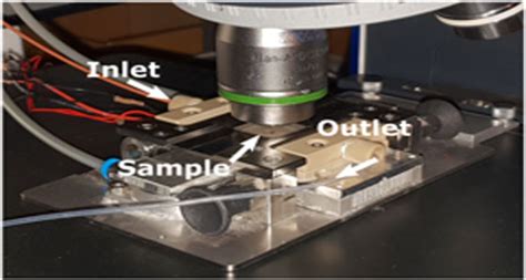 Automated Multiplexed In Situ Rna Sequencing Rna Seq Blog
