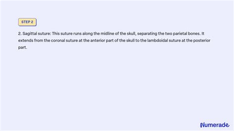 Solved Cranial Structures Sutures Which Bones Are Involved