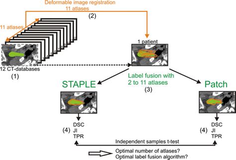 Schematic Illustration Of The Procedure For Determining The Optimal Download Scientific Diagram