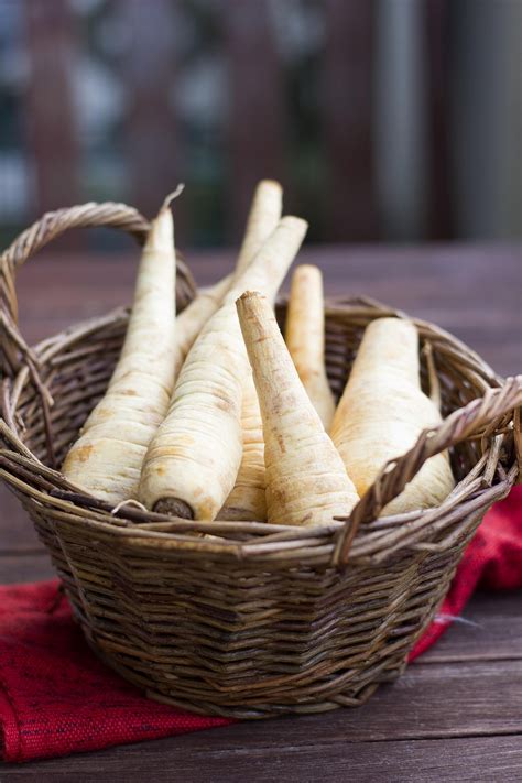 Parsnip Root Vegetables Parsley Free Photo On Pixabay
