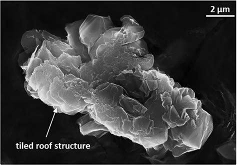 Sem Image Of Early Solidification Ti Modified Graphite From Sample Download Scientific Diagram