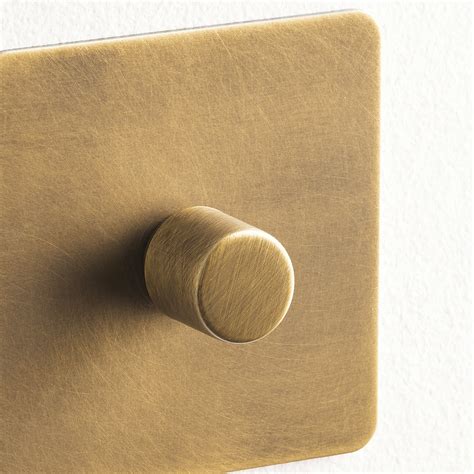 Lucian One Gang Dimmer Switch In Aged Brass