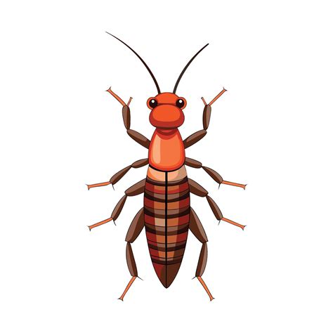 Cute Earwig Character For Educational Use Illustration 58981213 Vector