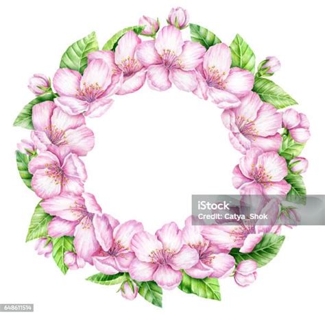 봄 꽃 화 환입니다 과일 나무의 개화 분기 합니다 수채화 그림 0명에 대한 스톡 벡터 아트 및 기타 이미지 0명 계절 꽃 나무 Istock