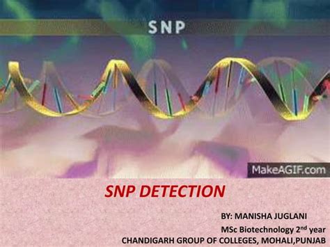 Ppt Snp Detection Pptx