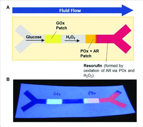 Microfluidic Paper Based Glucose Sensor As A Proof Of Concept
