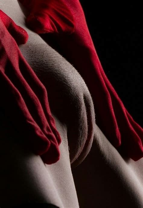 Shaved Prominence Briseis