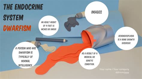 The Endocrine System Dwarfism By Quintaura Bush On Prezi