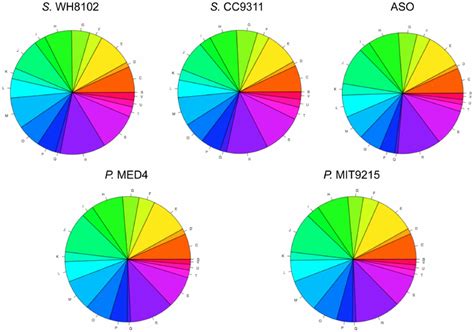 Functional Profiles Of Representative Marine Synechococcus And