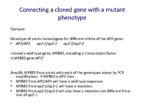 Using Mutants To Clone Genes Objectives 1 What