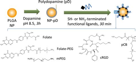 Polydopamine Based Simple And Versatile Surface Modification Of