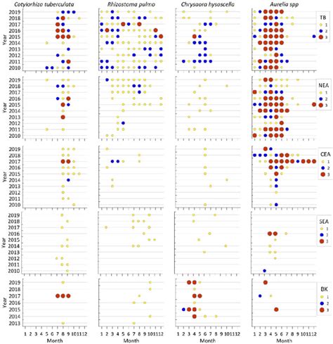 Temporal Variability Monthyear Of Relative Abundance Of Four