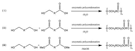 Enzyme Catalyzed Synthesis Of Polyesters Encyclopedia Mdpi