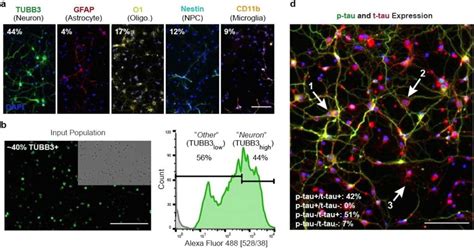Cellular Heterogeneity And Biomarker Discovery Darling Lab