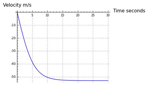 11 Terminal Velocity