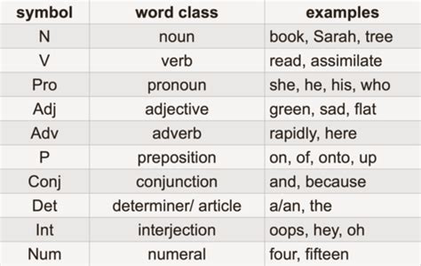 Morphology Flashcards Quizlet
