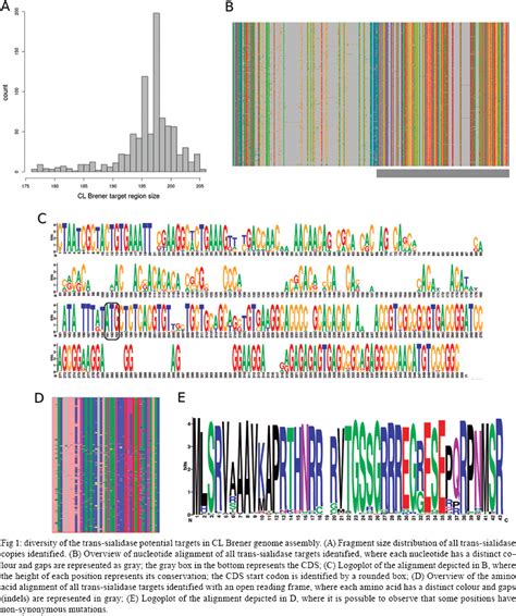 Memórias Do Instituto Oswaldo Cruz 0538a New Trypanosoma Cruzi Genotyping Method Enables High