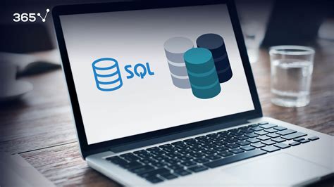 How To Set Up A Database In Sql 365 Data Science