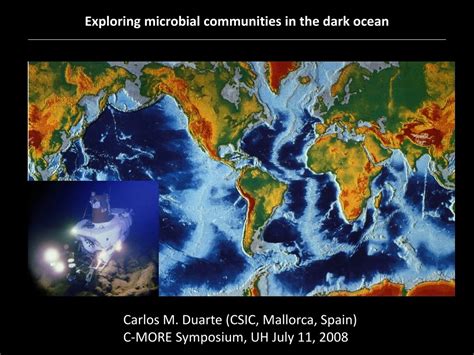 PPT Exploring Microbial Communities In The Dark Ocean PowerPoint Presentation ID