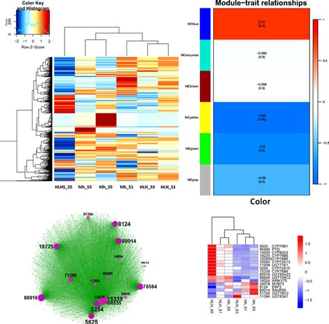 Top 1000 Highly Expressed Degs A Heatmap Of Top 1000 Highly