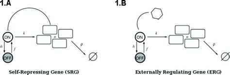 Lessons And Perspectives For Applications Of Stochastic Models In Biological And Cancer Research