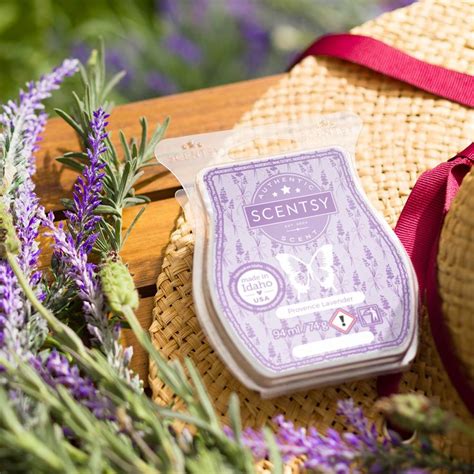 Scentsy Duft Des Monats Juli Scentsy Provence Lavender Lavender Soap