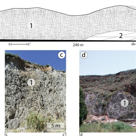 Location 7 Represents A Horst And Graben Structure With The Largest