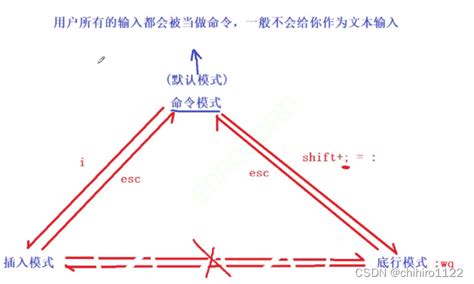 Linux 的软件生态 软件包管理器（yum）编译器 Vim