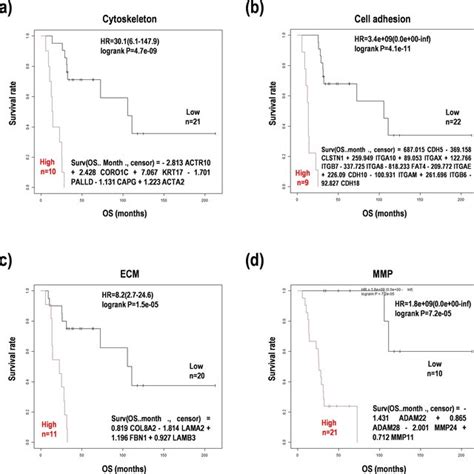 Multiscore Based Survival Prediction Model For The Statuses Of Cancer Download Scientific
