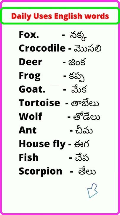 రోజూ ఉపయోగించే ఇంగ్లీష్ వాక్యాలు Easy Learn English In Telugu