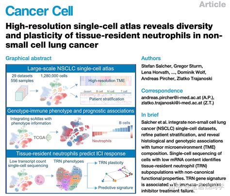 大规模单细胞测序图谱优秀python代码分享 知乎