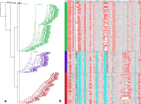 A Sequence Alignment Sorted And Annotated By Structural And Download Scientific Diagram