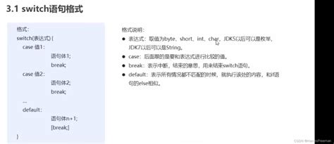 Java005 分支语句 Csdn博客