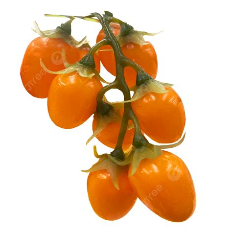 Fruits Background Orange Cherry Tomato Mini Tomatoes Fruit Fruits Cherry Tomatoes Png