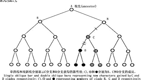 Figure 1 From Paraphyletic Group Phylocode And Phylogenetic Species—the Current Debate And A