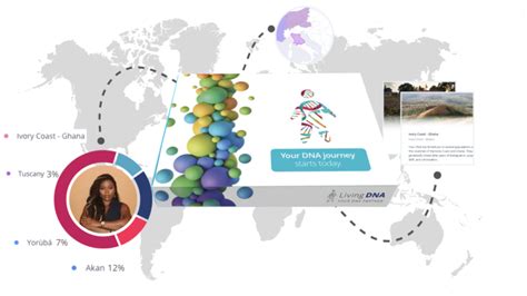Ancestry Dna Tests Living Dna